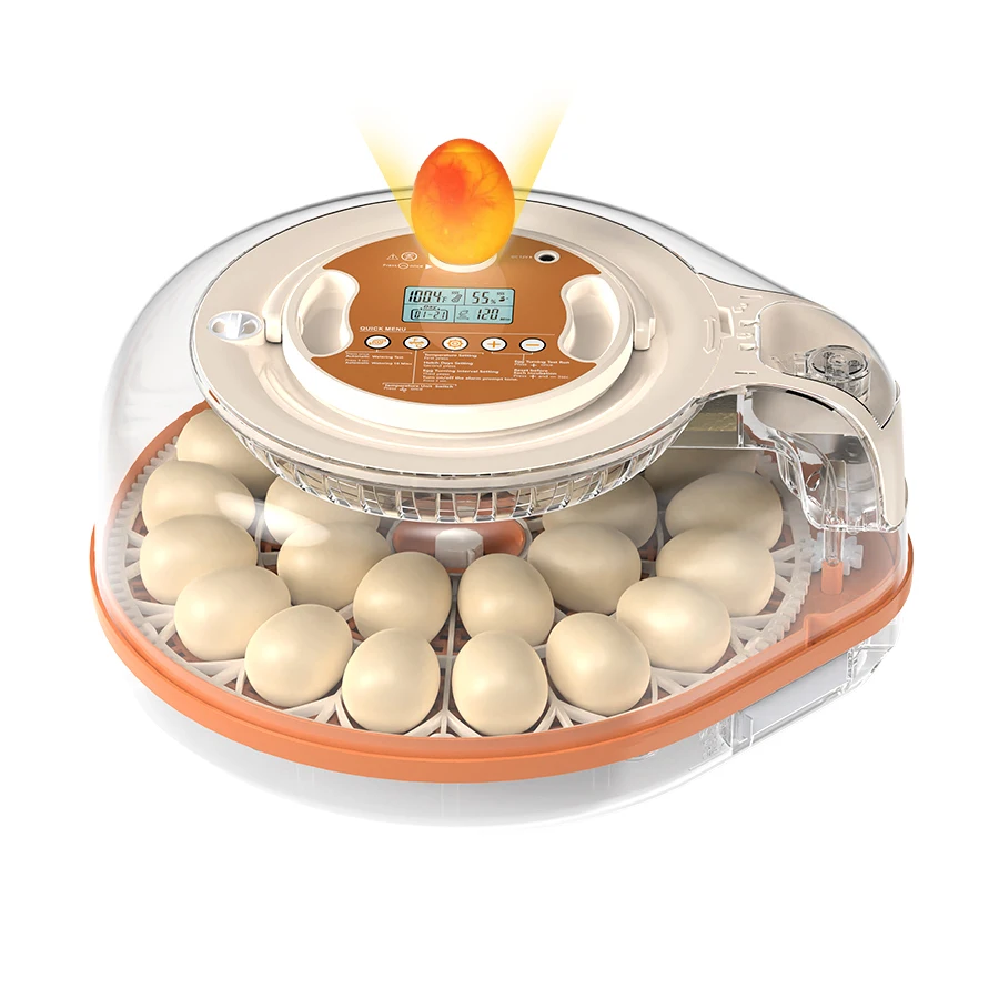 26 Egg Incubator for Hatching Eggs with Auto Turn, Temp & Humidity ...