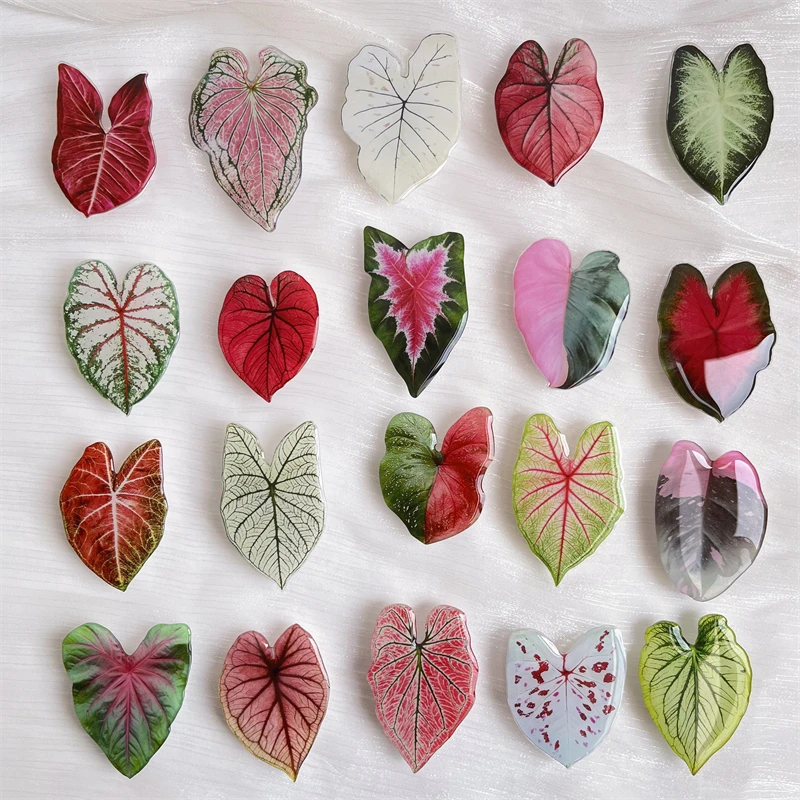 Korea-INS-Leaf-Plant-Socket-Folding-Handle-Grip-Tok-Acrylic-Phone ...