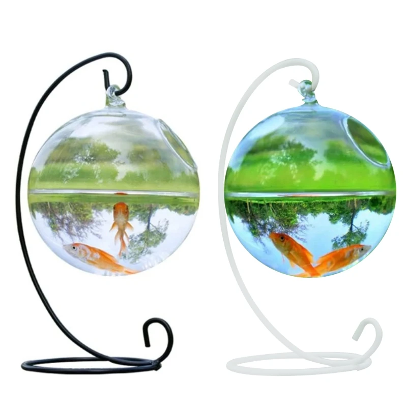 Creative-Transparent-Spherical-Fish-Tank-Small-Table-Top-Glass-Fish ...