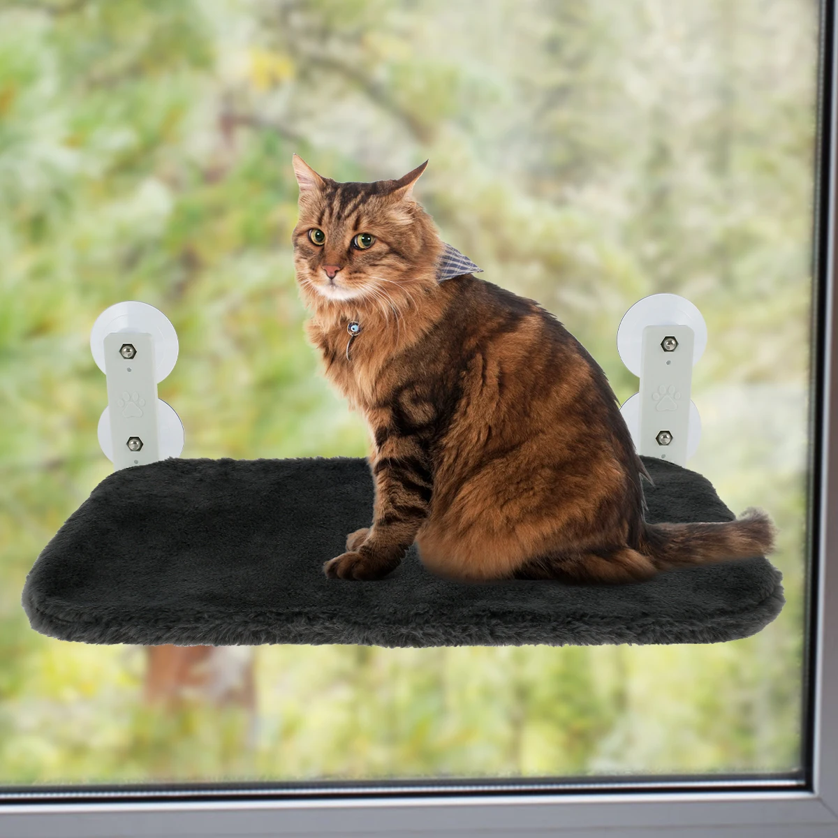 Cat-Window-Perch-Foldable-Kitten-Hammock-Hanging-Pet-Windows-Hammock ...