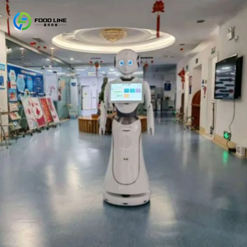 High Quality Service Roboter Humanoid Intelligent Programmable Humanoid ...