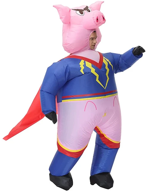 Flying Pig Costume