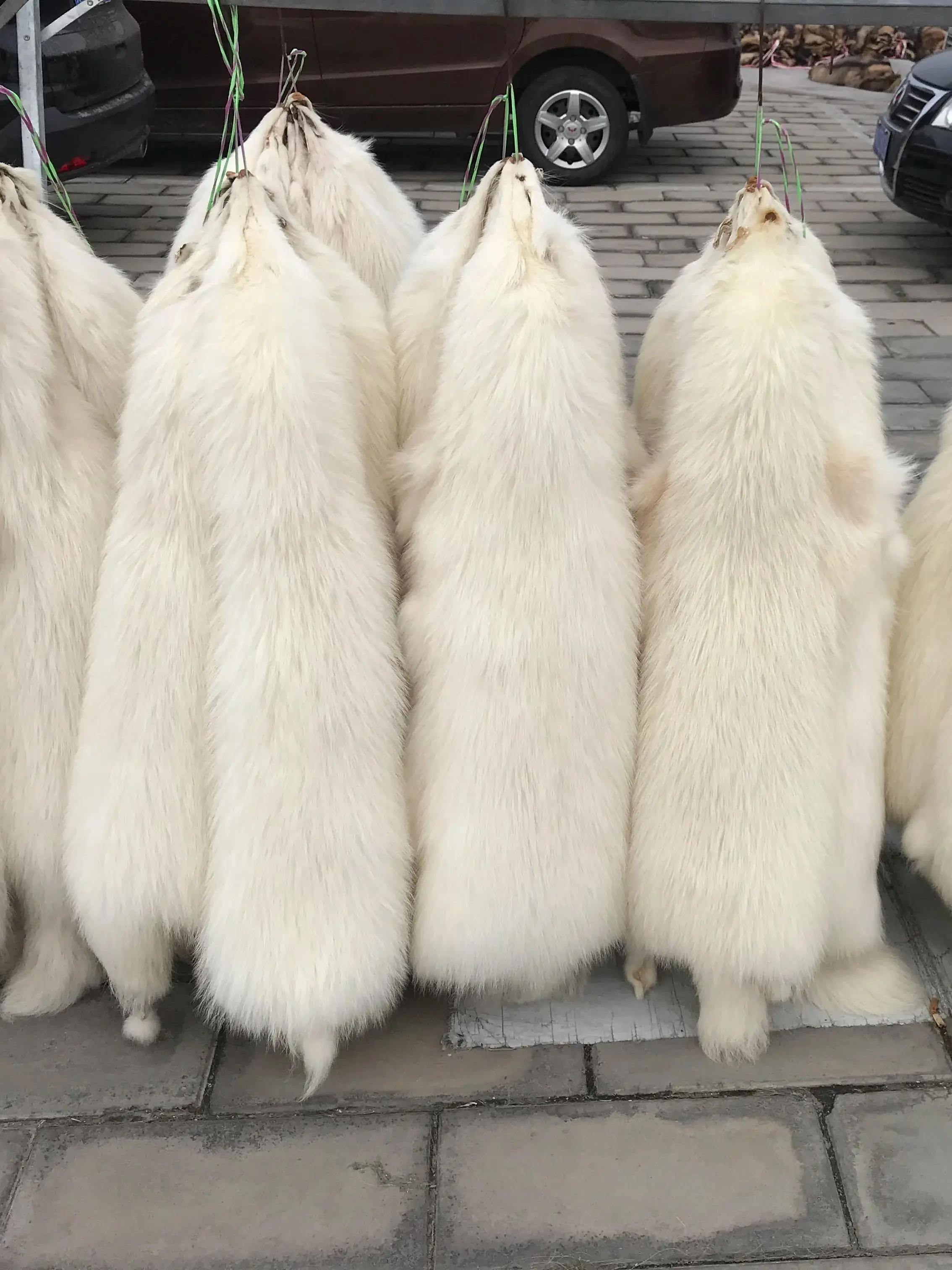 Prix usine peau de fourrure de renard véritable de qualité différente ...