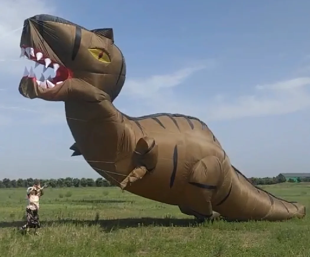 20m-dinosaur-kites-for-adults-outdoor-toys-Wind-sock-windsock ...