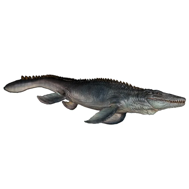 Store Home Products Summer Sale Feedback