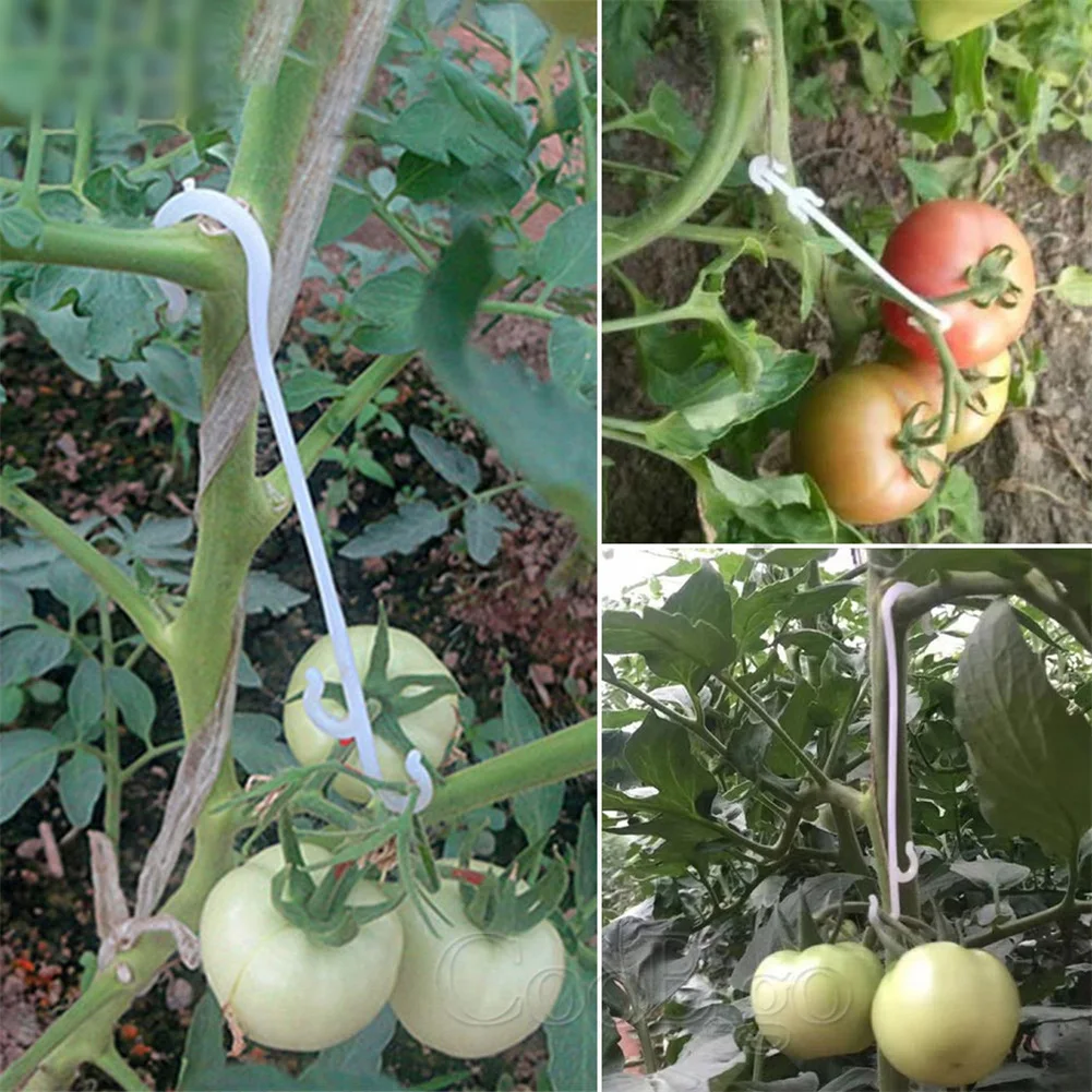 Tuteur - lien - attache,Crochet d'oreille de plante en forme de J,aucun support de tomate ...