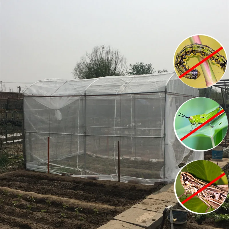 Plant-Vegetables-Insect-Protection-Net-60-Mesh-Multiple-Specifications ...