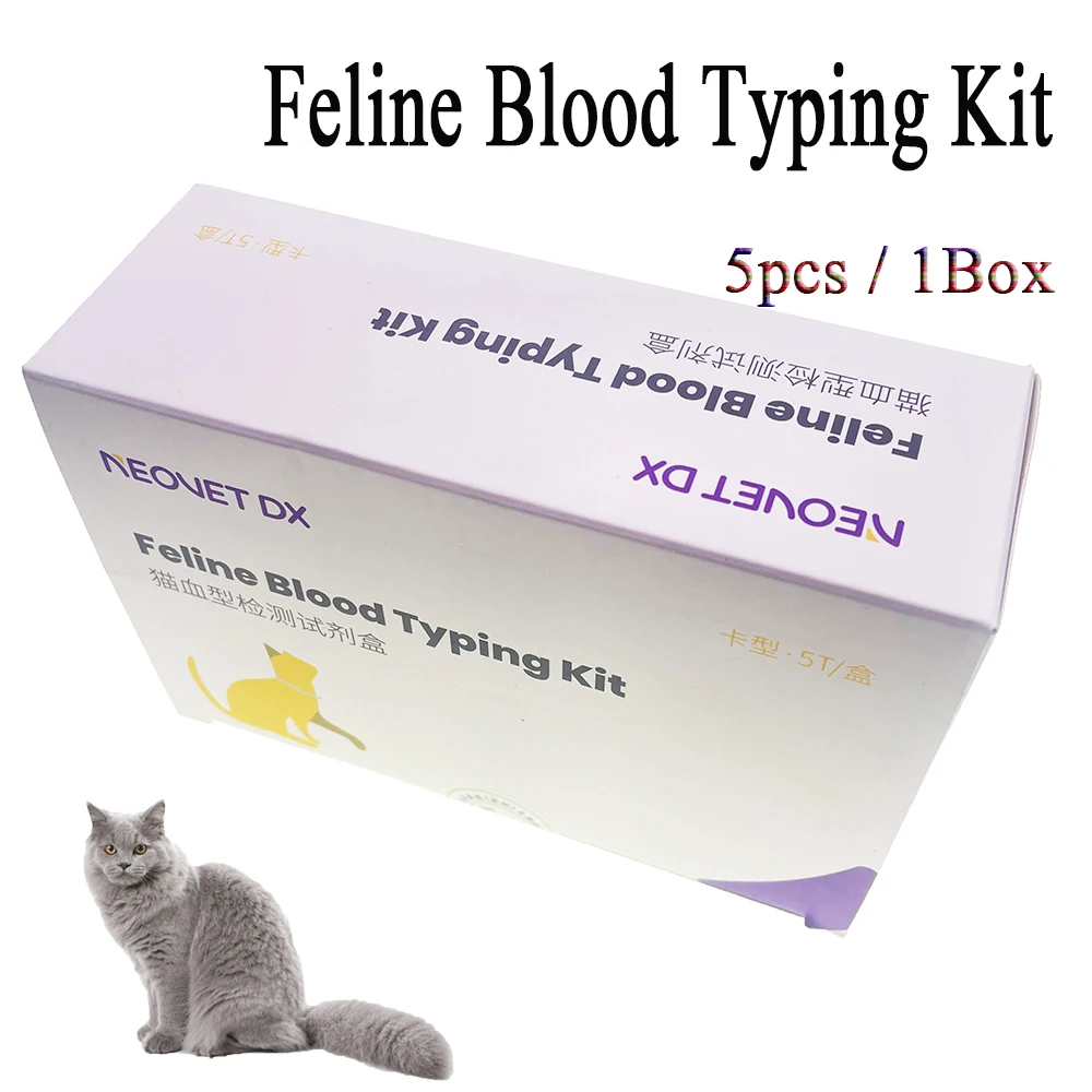 Professional-Feline-Pet-Cat-Blood-Typing-Rapid-Test-Kit-Card-Hemolysis ...