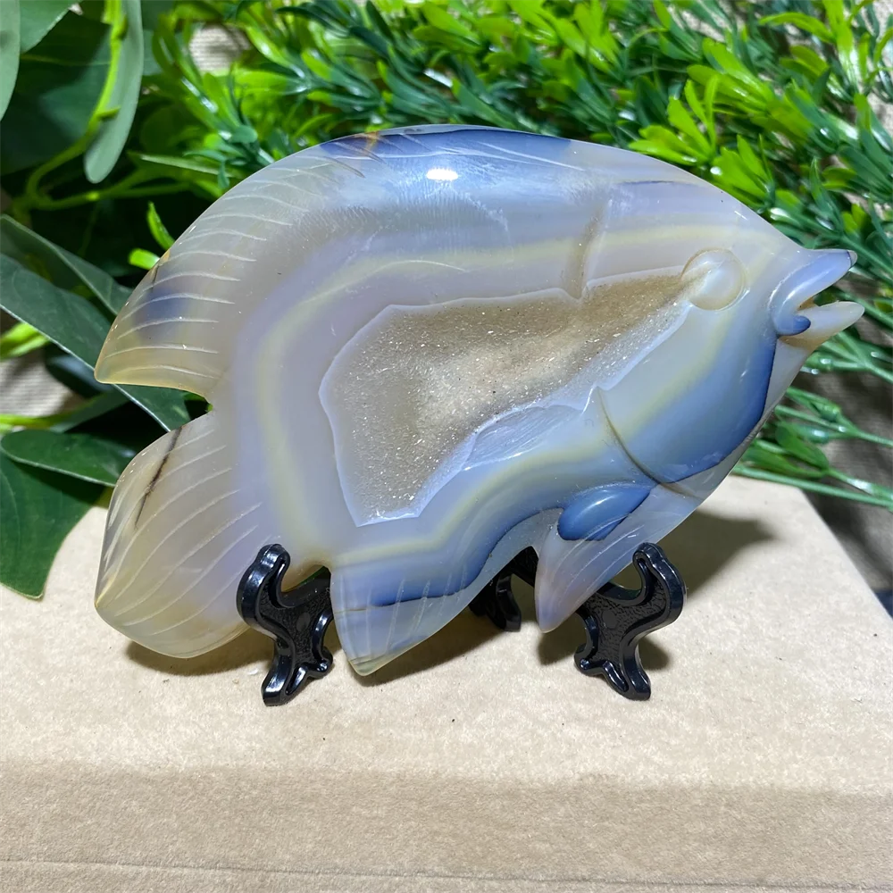 Agate-Fish-Palm-Natural-Crystal-Stone-Chakra-Healing-Meditation-Reiki ...