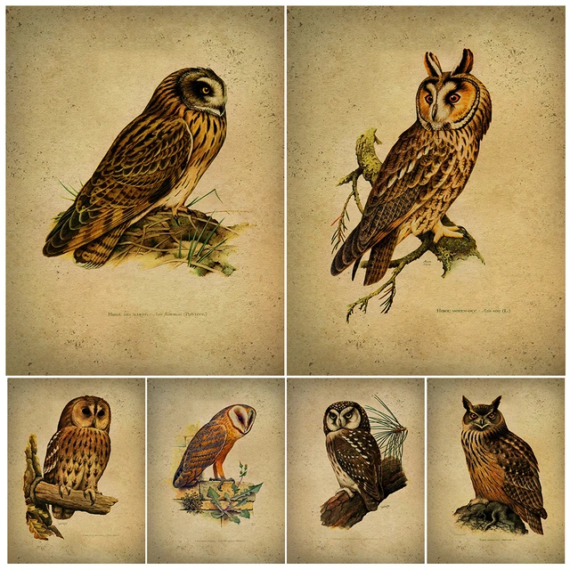 Retro Owl Print