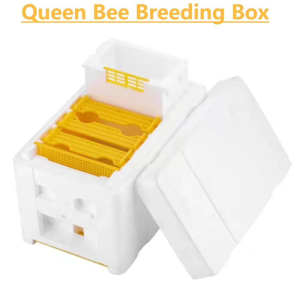 Queen-Bee-Breeding-Box-Bee-Mating-Box-Foam-Bee-Hive-Box-Beekeeper ...