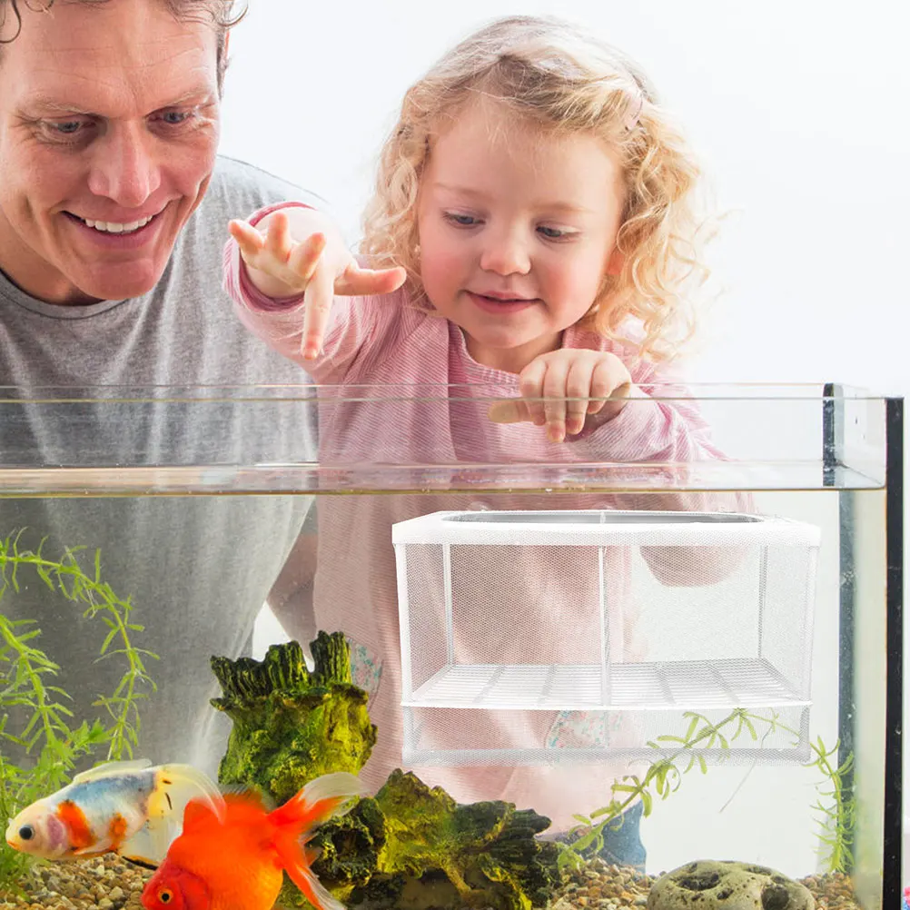 Fish Fry Separator: The Essential Tool for Raising Healthy Baby Fish in ...