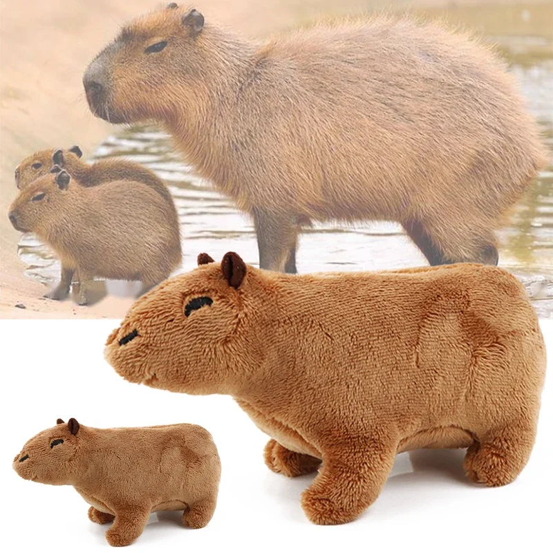 Cute-Simulation-Capybara-Plush-Stuffed-Animals-Plush-Toy-Soft-Dolls ...