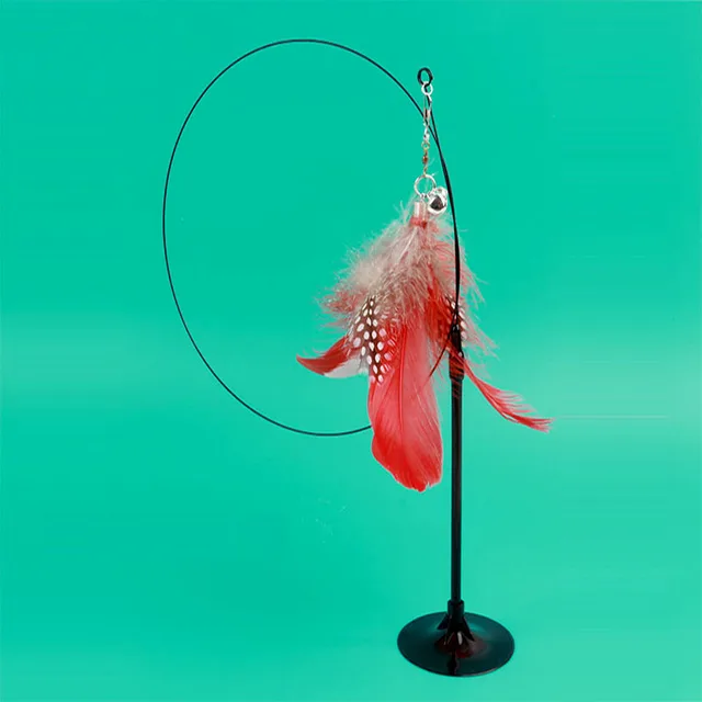 Store Home Products Feedback