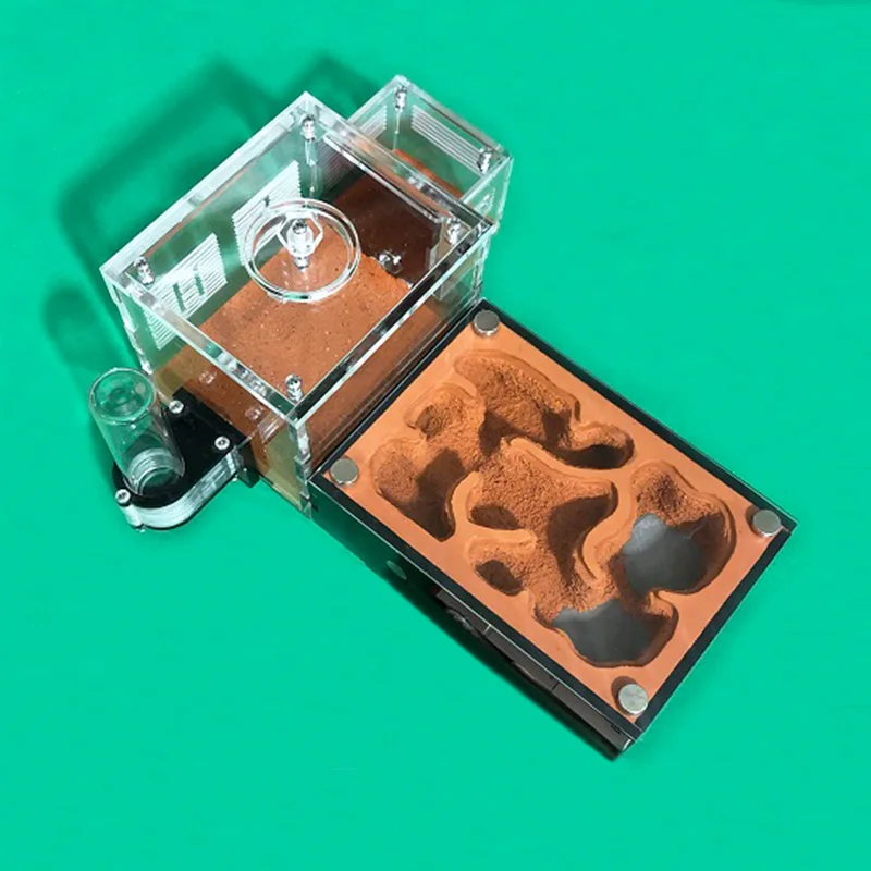 Unlimited-Expansion-Ant-Farm-with-External-Water-Tower-Yellow-Soil-Ant ...