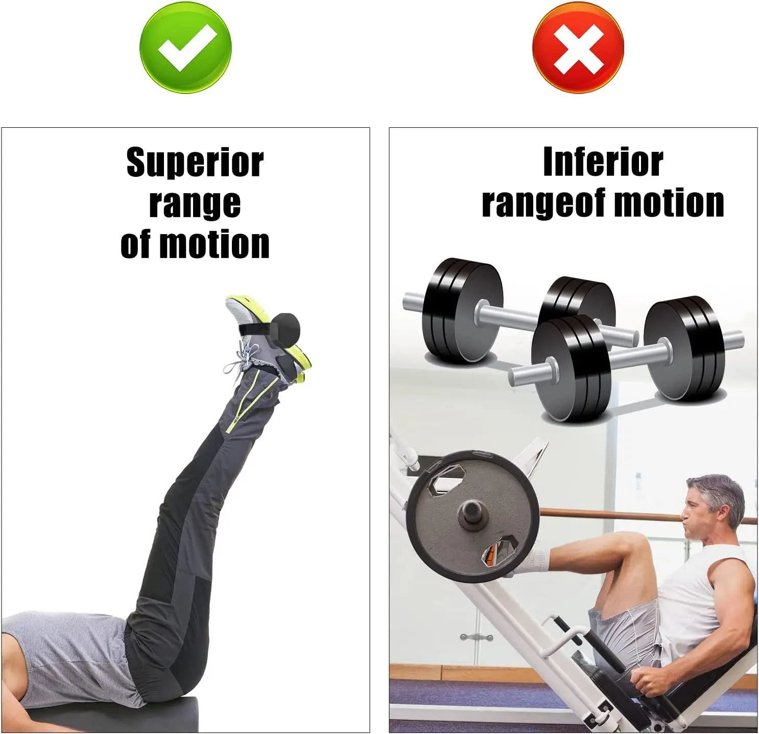 Leg Extension With Dumbbell