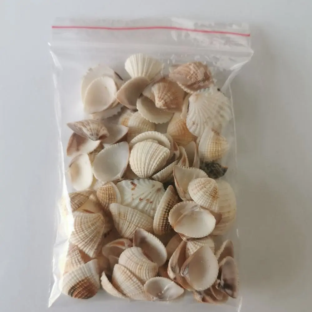 Mini-Concha-para-Paisagem-Miniatura-Acess-rios-Miniatura-Decora-o ...