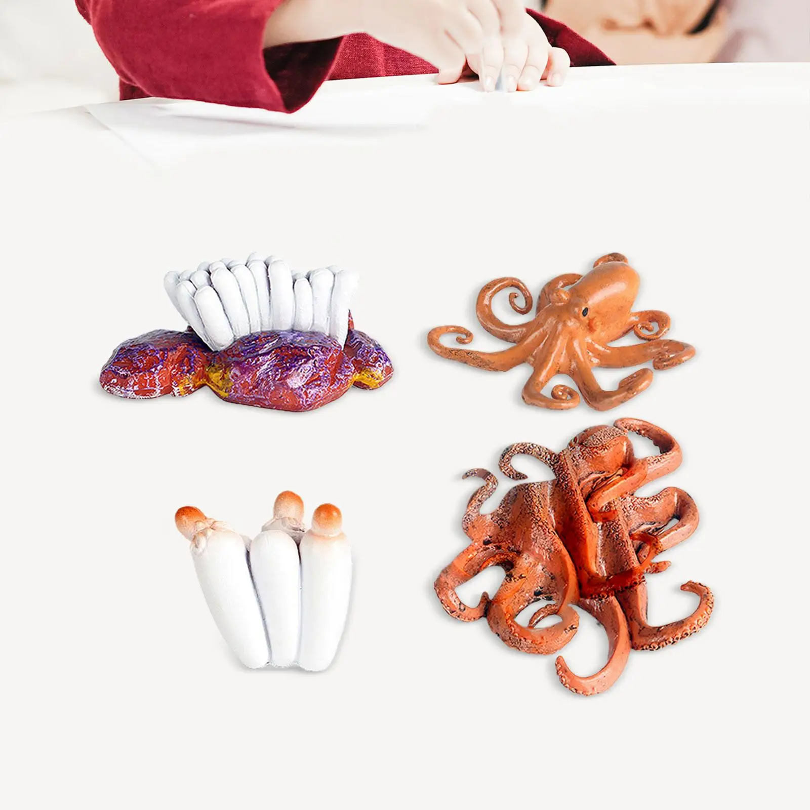 Octopus-Life-Cycle-Set-Realistic-Early-Learning-Montessori-Toys-for ...