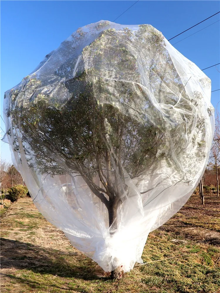 3mx3m Fruit Tree Protective Net PE Breathable Wear Resistant ...