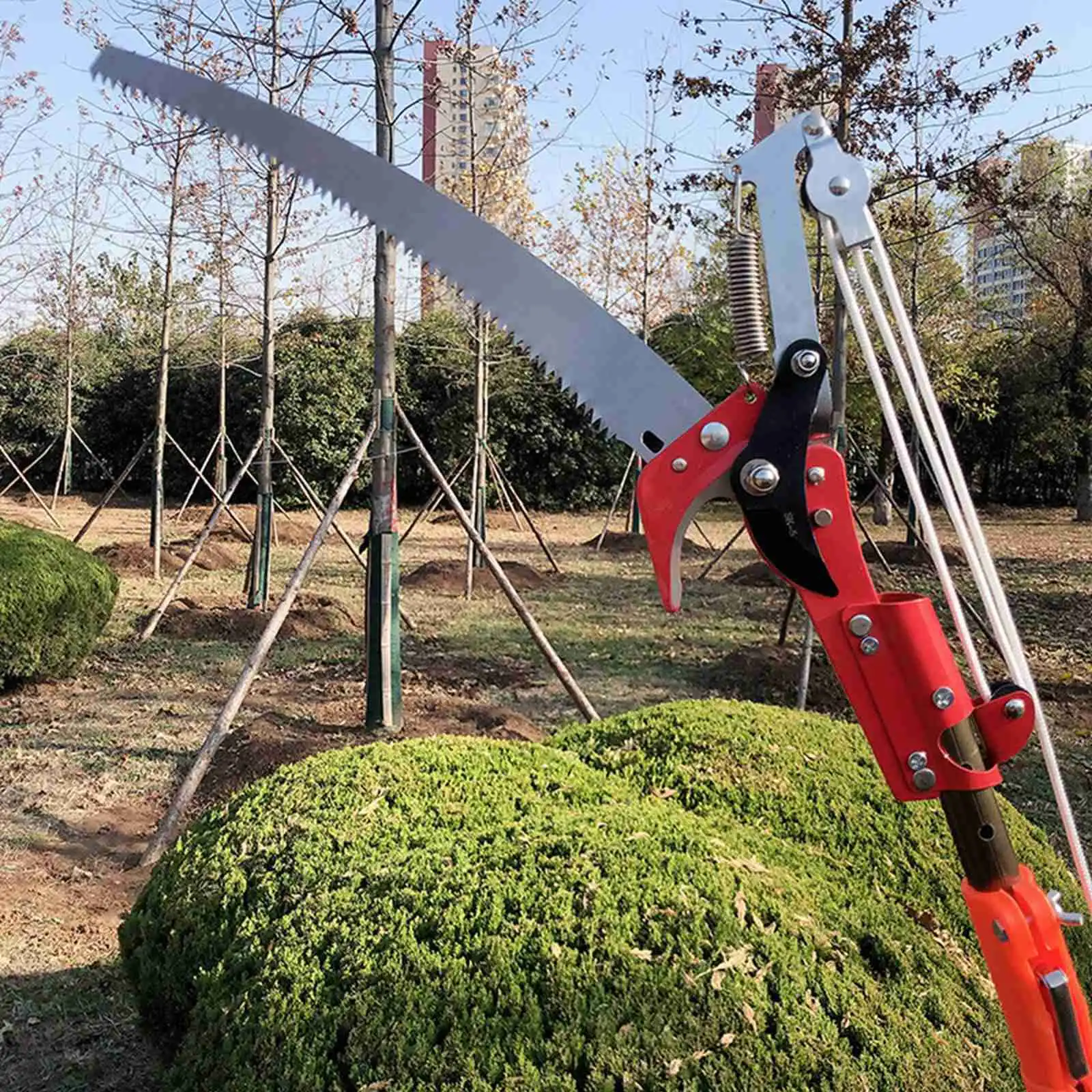 High-altitude-Shears-Fruit-Picking-Garden-Pruning-Shears-High-Branch ...