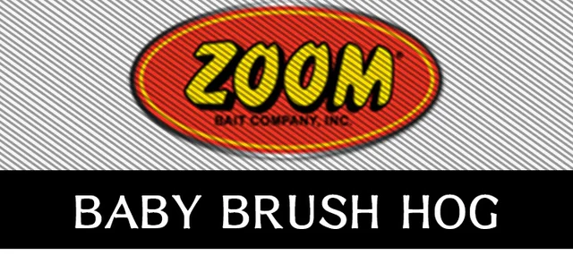 Zoom Bait Logo