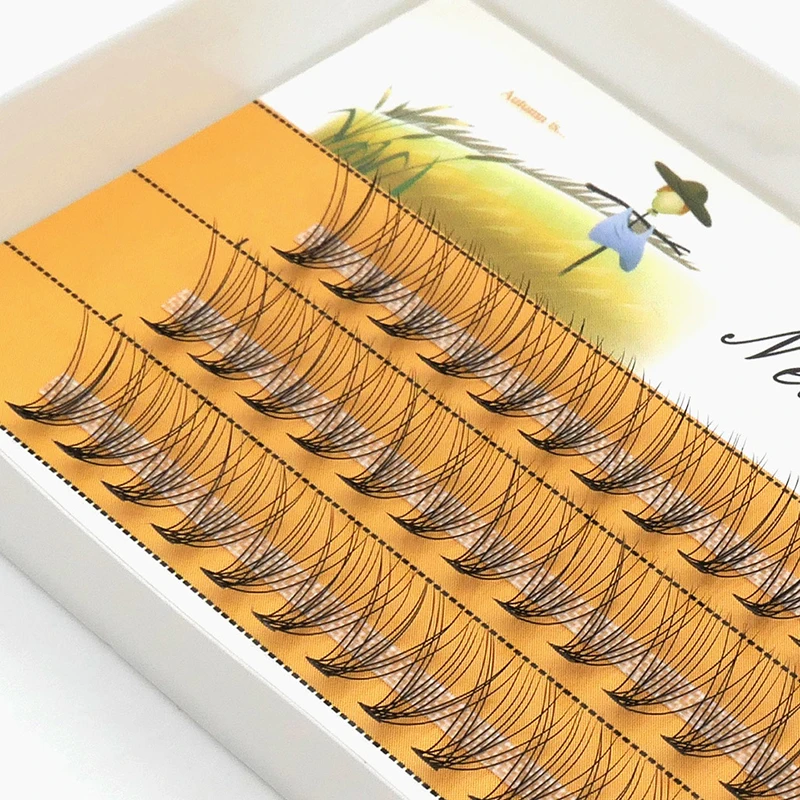 10D-Mink-Eyelashes-1-Box-60-Bundles-Natural-Eyelash-Extension-3D ...