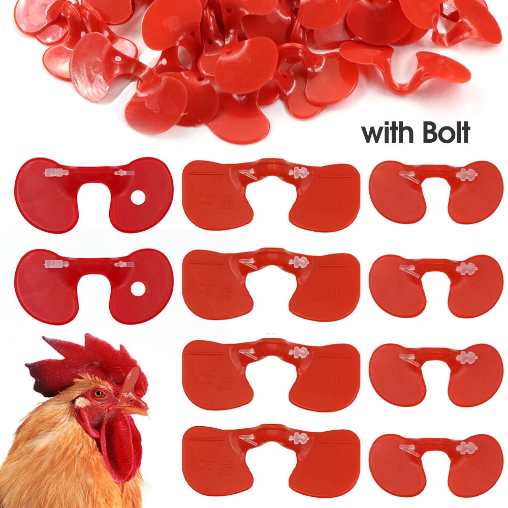 Red-Chicken-Glasses-Plastic-Pheasant-Anti-pecking-Goggles-Glasses-with ...
