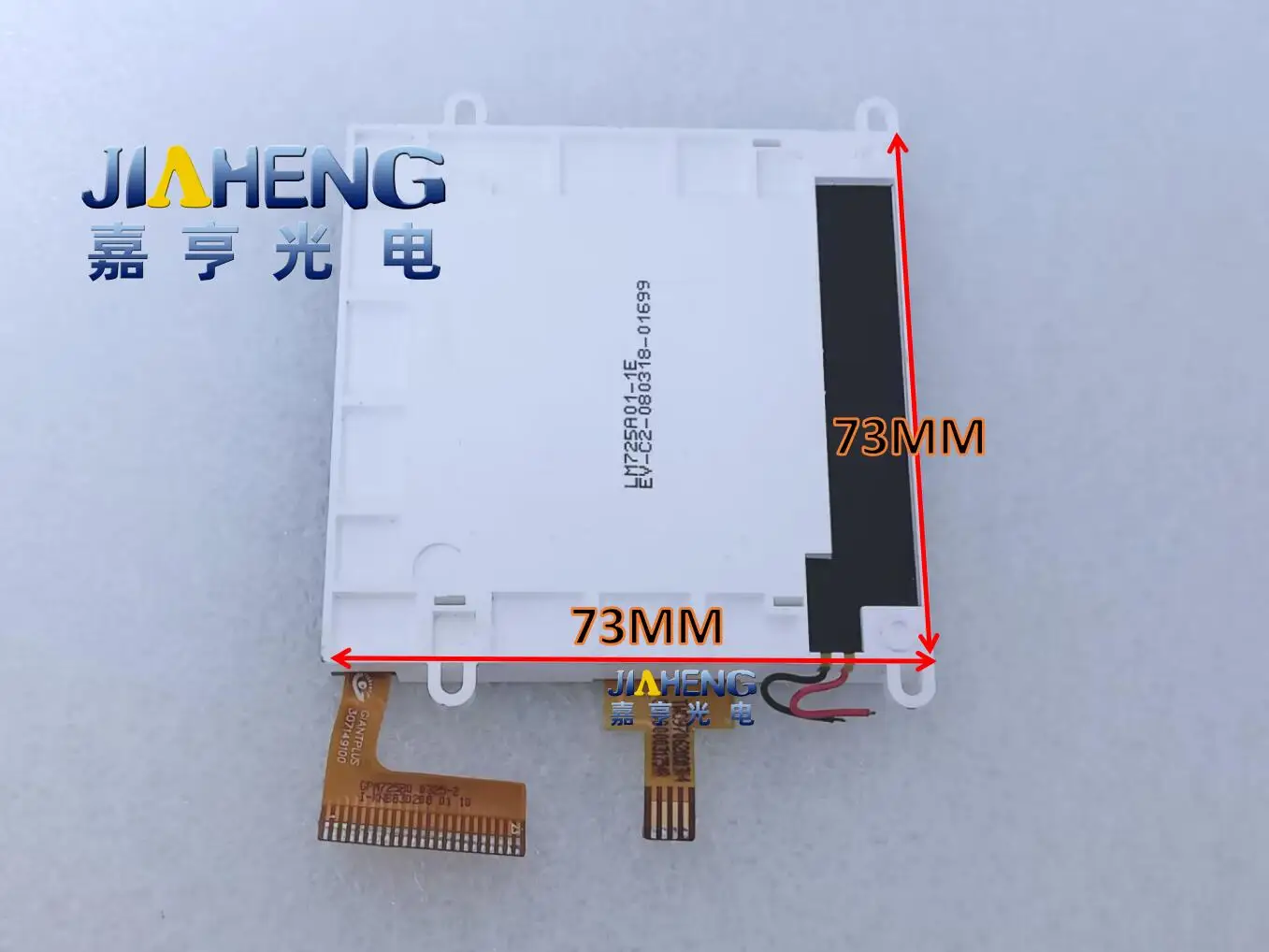 GIANTPLUS-LM725A01-1E-cran-tactile-LCD-GIANTPLUS-307149100-73MM-x-73MM ...