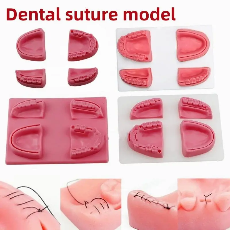 Dental-Oral-Gingival-Suture-Module-Periodontitis-Suture-Silicone ...