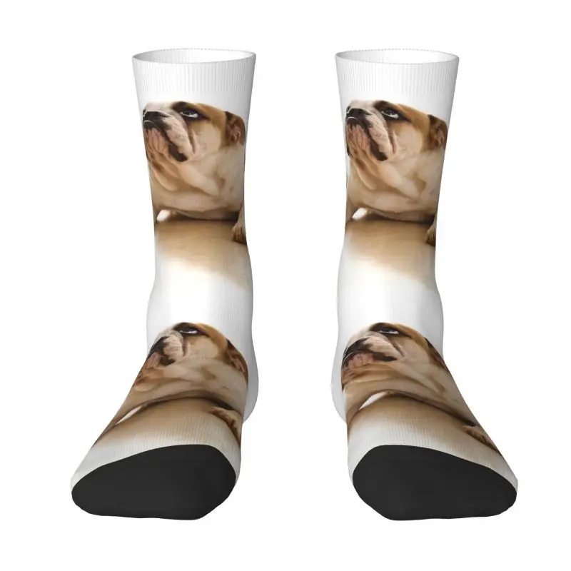 Novelty-Printed-Cute-English-Bulldog-Socks-for-Men-Women-Stretch-Summer ...