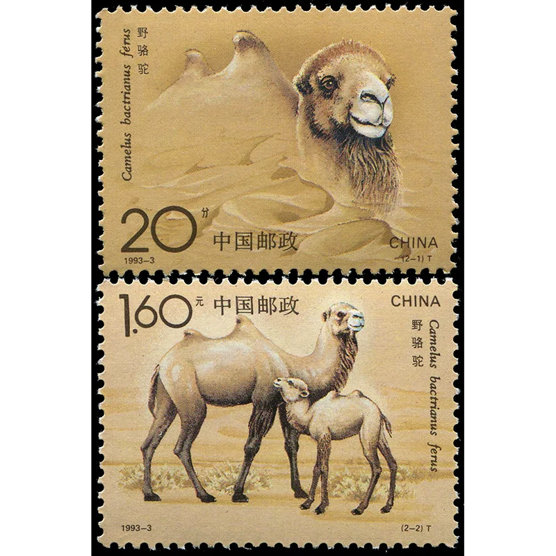 1993-3 , wild camel . Post Stamps , 2 pieces , Philately , Postage ...