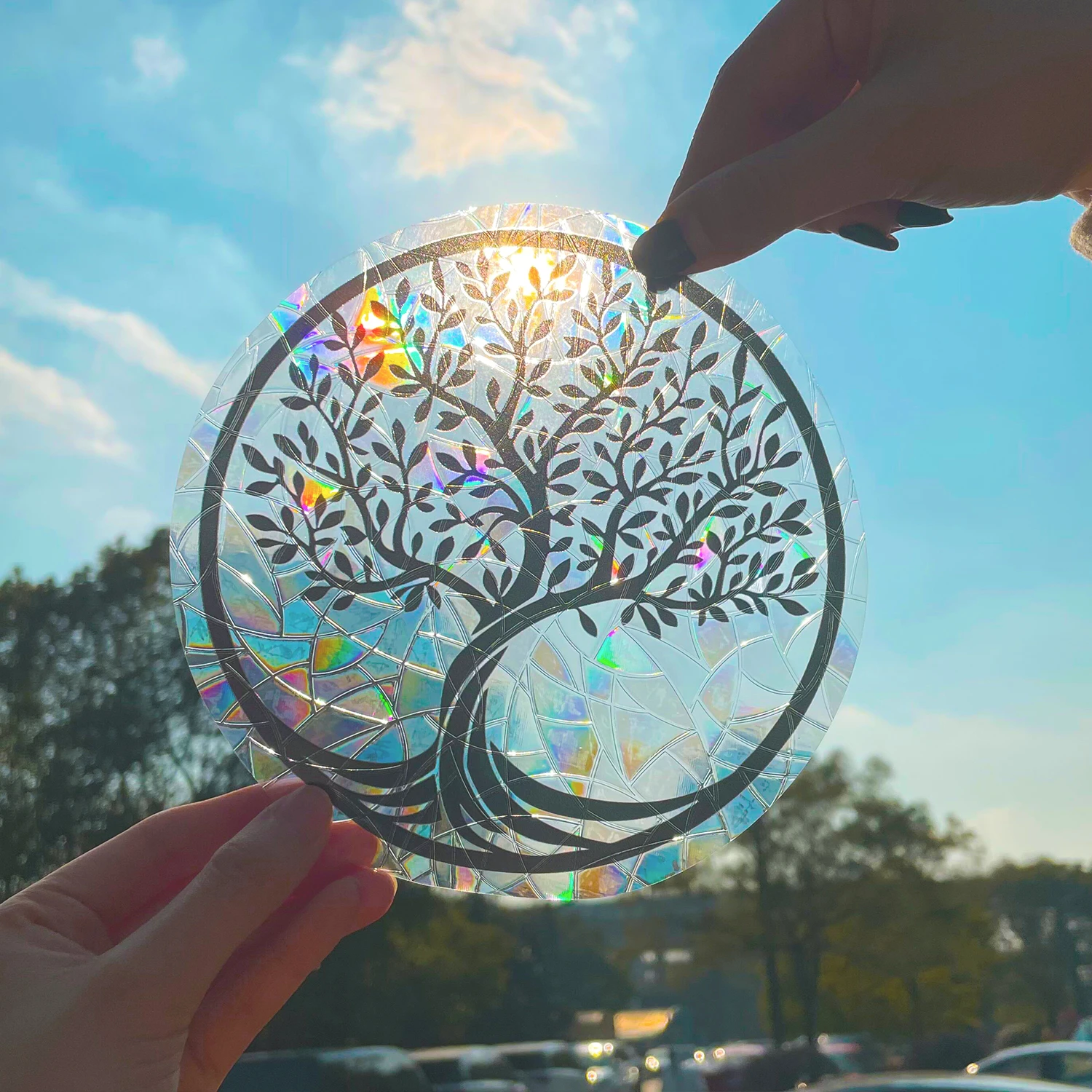 Kizcozy Tree of Life Decal Rainbow Surface Material Sunshine Catcher ...