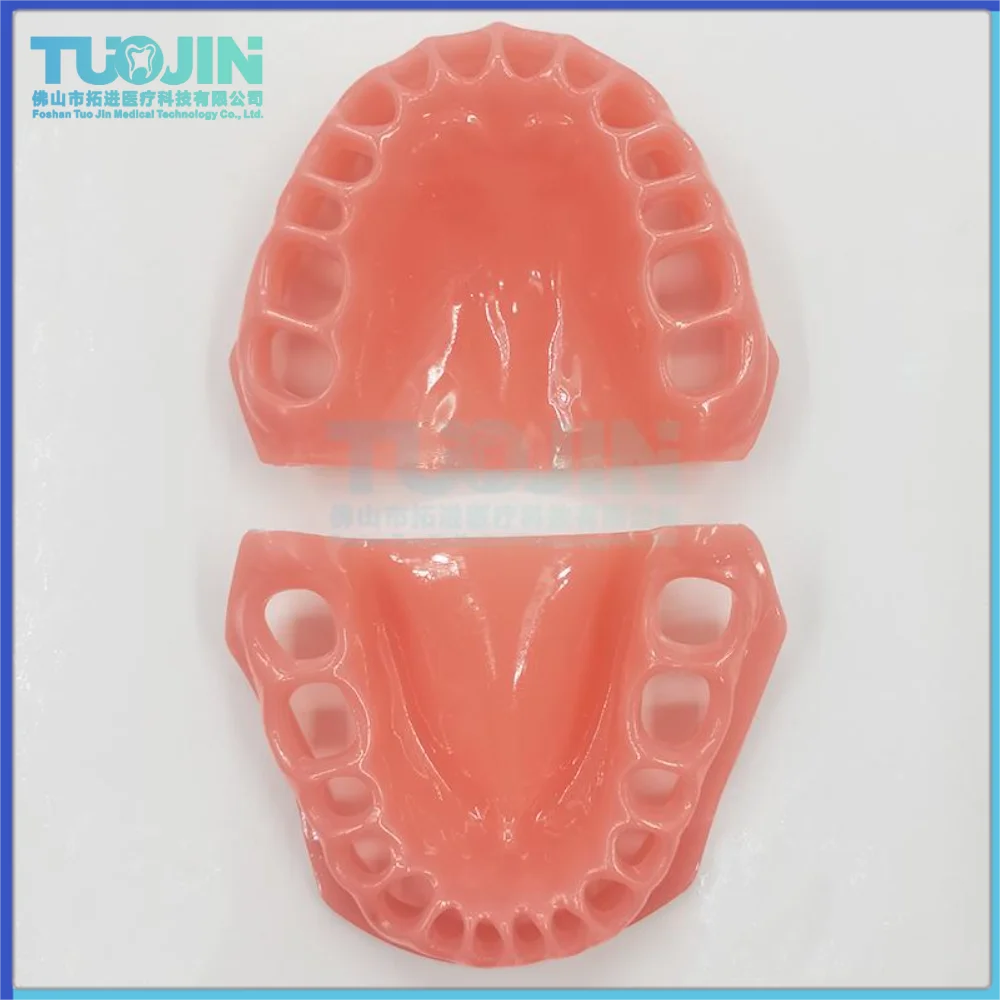 Dental-Soft-Gum-Standad-Study-Model-Simulation-Model-Teeth-Teaching ...