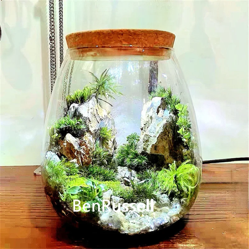 Micro-Landscape-Ecological-Glass-Bottle-with-Cork-Lid-Hydroponic ...