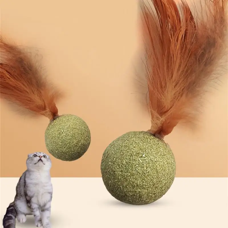 Pet-Catnip-Toys-Edible-Catnip-Ball-Safety-Healthy-Cat-Mint-Cats-Home ...