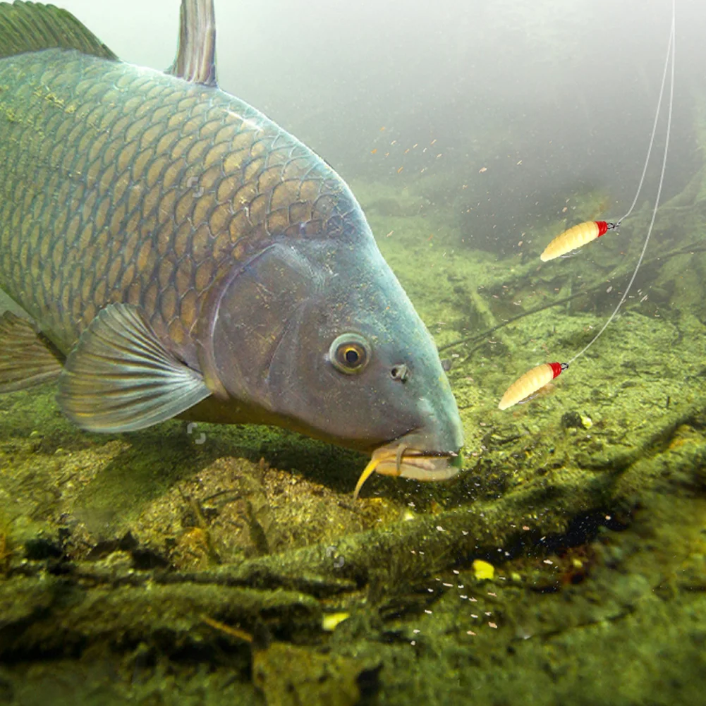 30Pieces-Box-Soft-Maggot-Baits-with-Hooks-Fishing-Worms-Bread-Worm ...