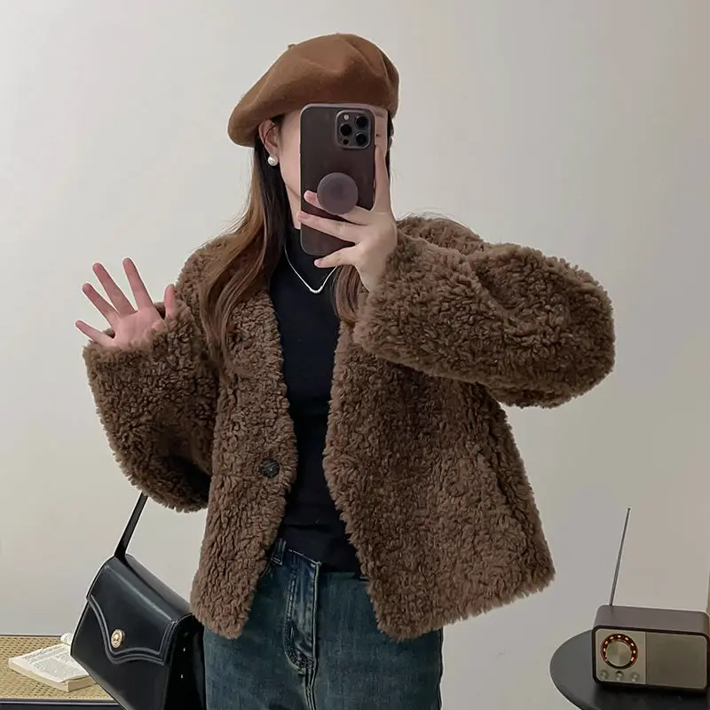 Lamb Fur Imitation Fur Coat for Women Thickened and Cold Resistant New ...