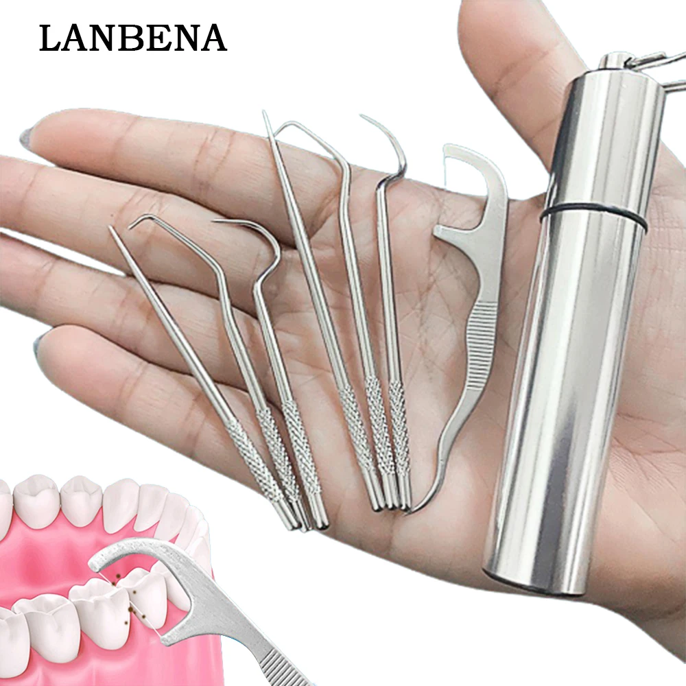 1-Set-Toothpick-Set-Metal-Stainless-Steel-Oral-Cleaning-Tooth-Flossing ...