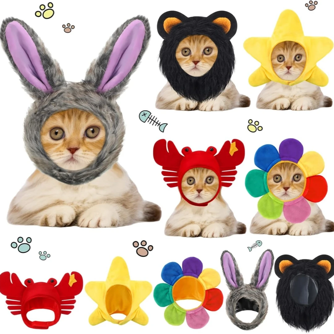 5-pieces-of-cat-hats-cat-and-dog-clothing-cute-pet-hats-rabbit-hats ...