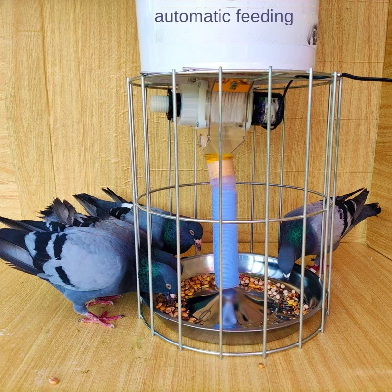 Poultry-pigeon-automatic-feeder-remote-feeding-feeder-pigeon-feed ...