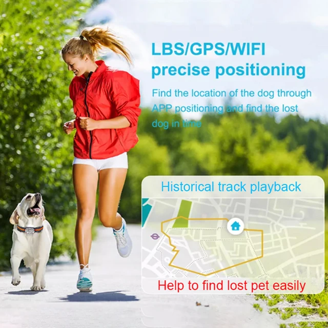 Gps Chips For Pet