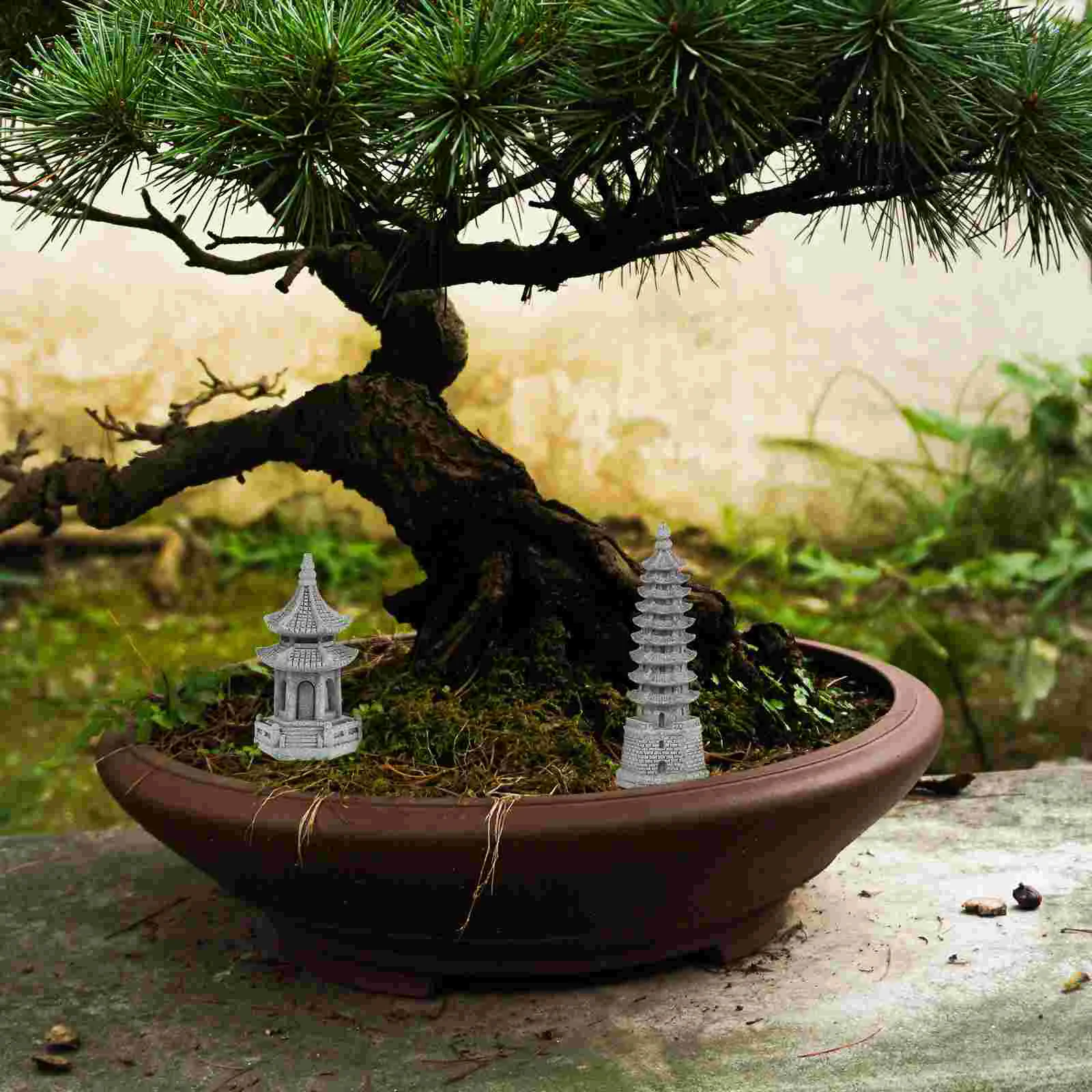 Japanese Pagoda Bonsai