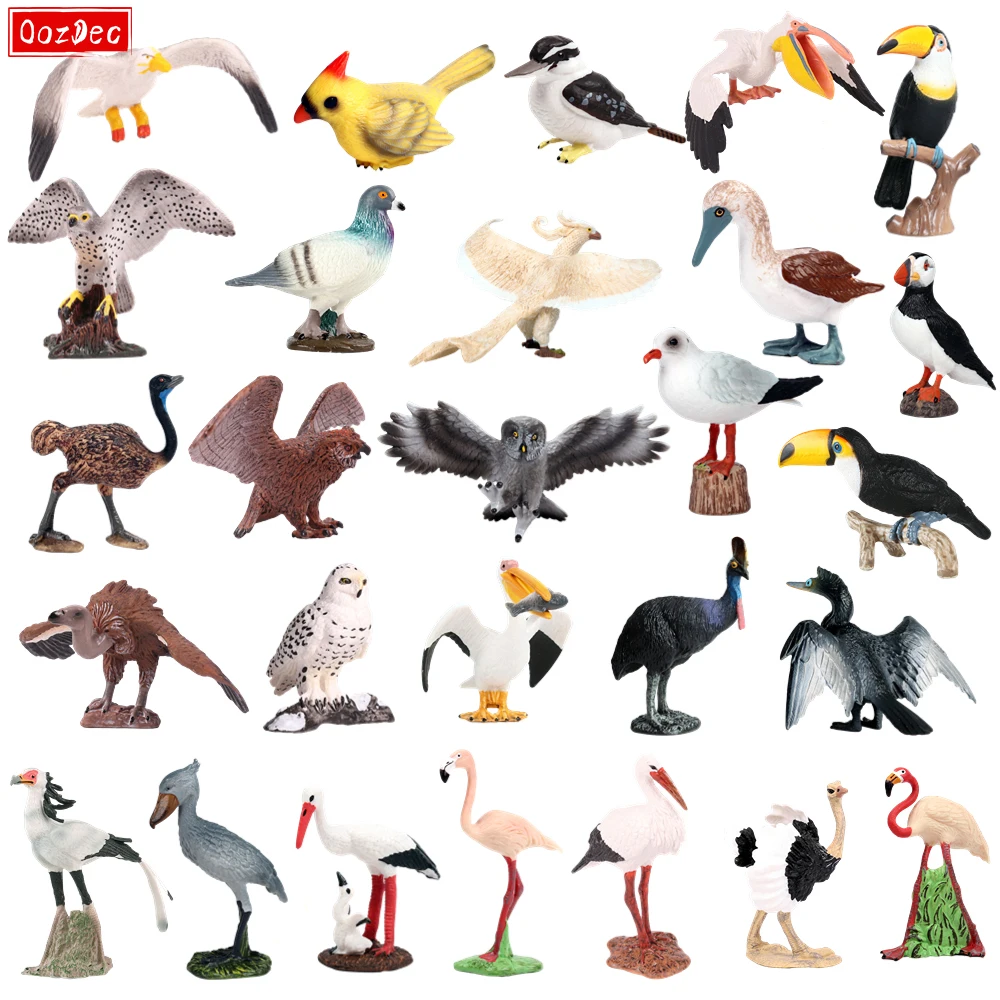 OozDec Original Wild Bird Animals Paradise Flamingos Macaw Sea Gull ...