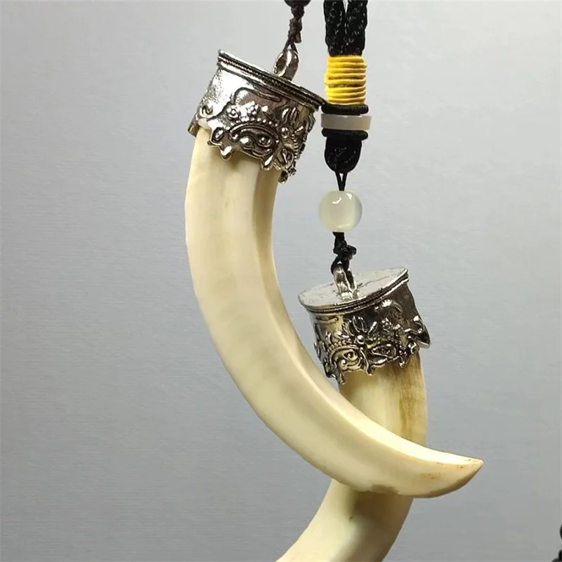 Jiale-Old-Tibetan-Silver-Inlaid-Natural-Wild-Boar-Teeth-Beast-Necklace ...