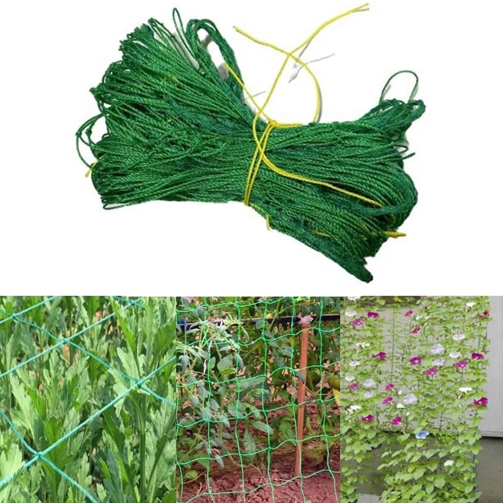 Lattice-Net-Green-Gardening-Plant-Climbing-Netting-Loofah-Glory-Flower ...