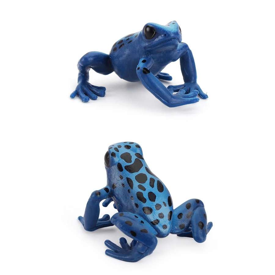 Colorful Poison Dart Frogs