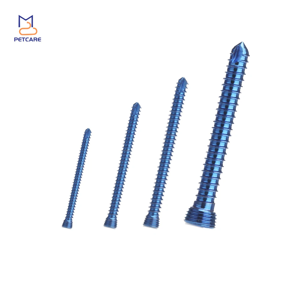 10pcs 2.4mm Stardrive Titanium Locking Screw Veterinary Orthopedics ...