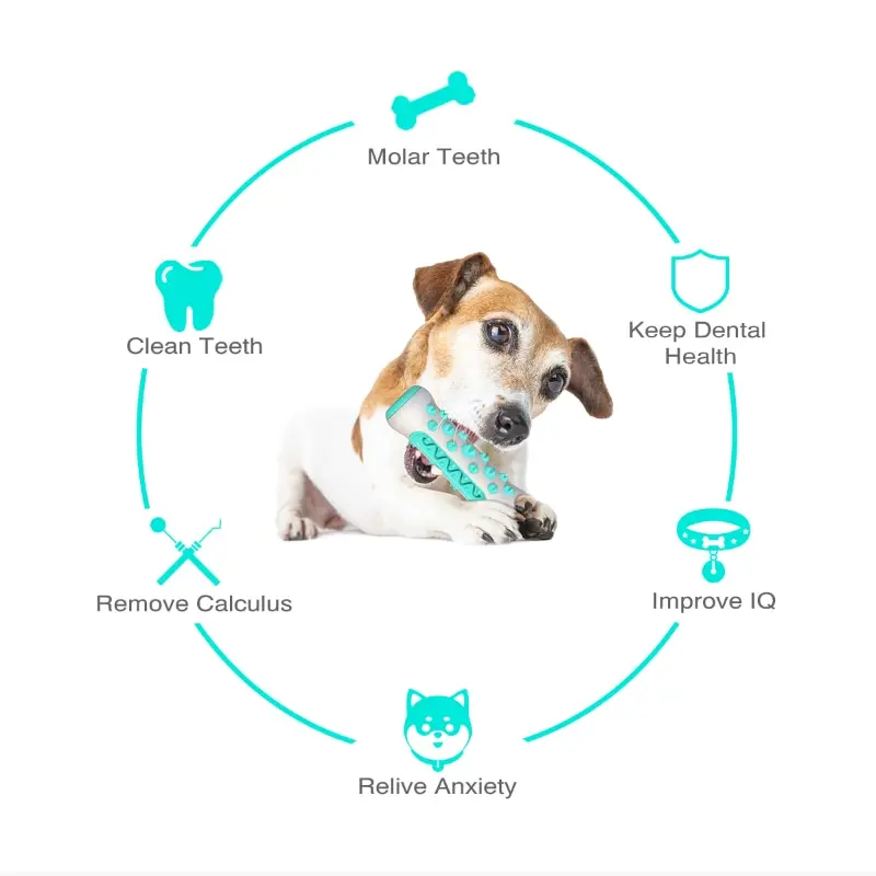 Do Bones Keep Dogs Teeth Clean