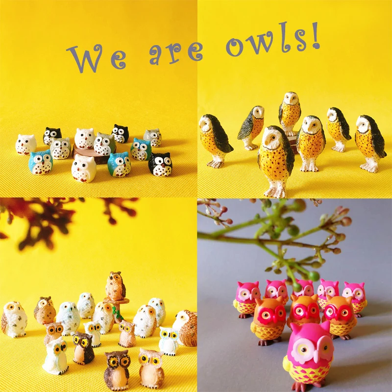 Miniature Garden Decorations | Miniatures Terrariums | Terrariums ...