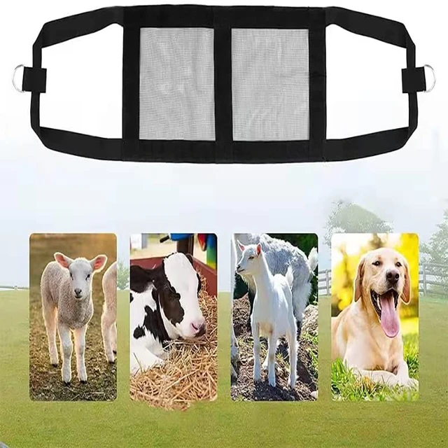Weight Scale Sling Adjustable Animal Hanging Lamb Baby Calf Sling ...